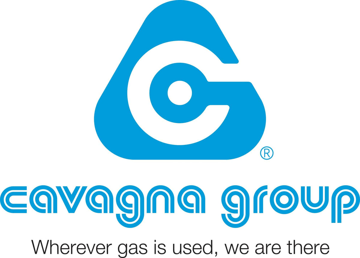 Cavagna Reca Automatic Changeover LPG Propane Gas Regulator (No Pigtai ...